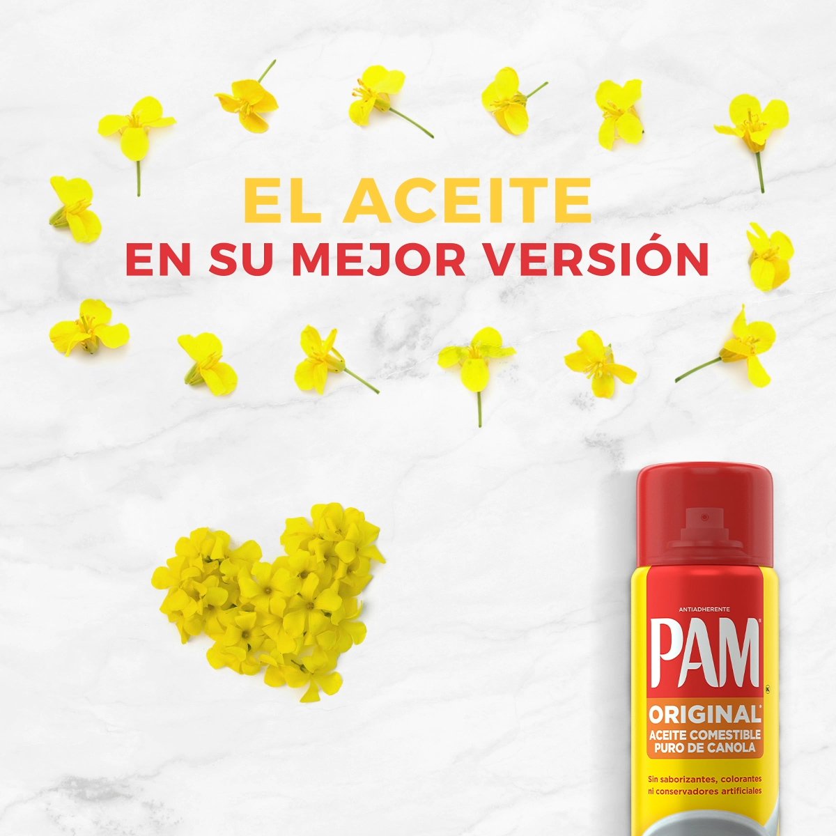 CUIDA TU CORAZÓN CON PAM – DISTRITO MAGAZINE