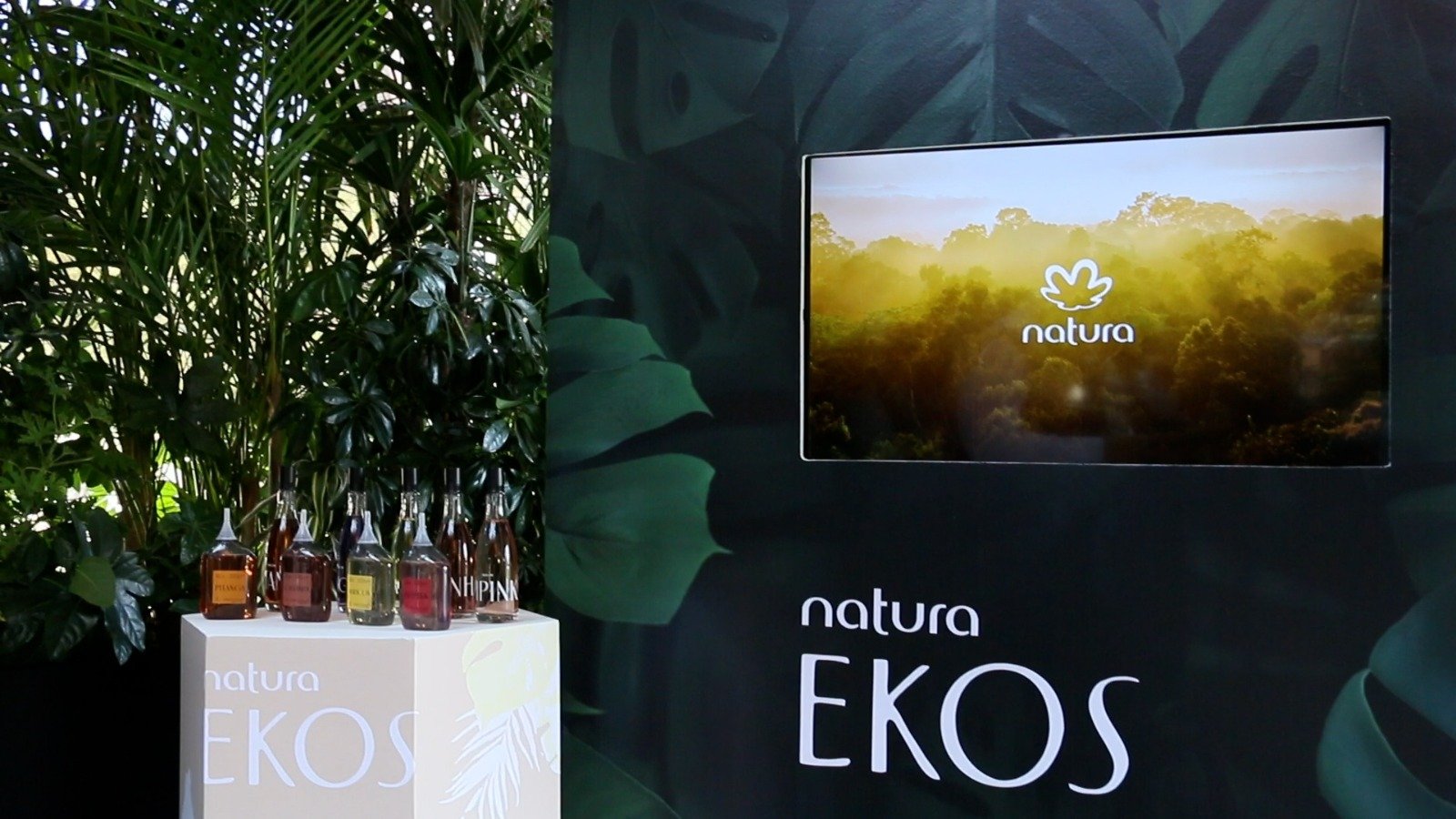 Natura impulsa la bio innovación con repuestos de plástico reciclado ...